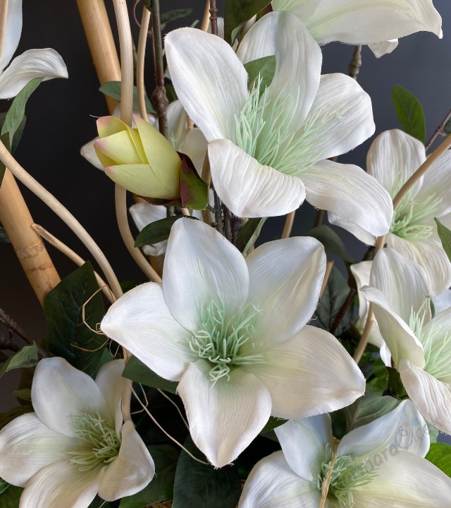 Vazolu Yapay Manolya, Vazoda Yapay Manolya, Yapay Manolya